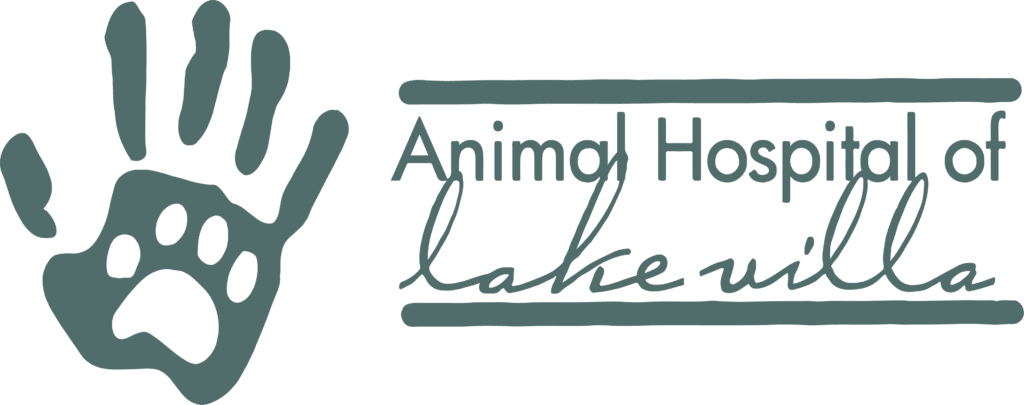 Unlock the Future of Pet Health with Gallant Stem Cell Banking | Animal ...